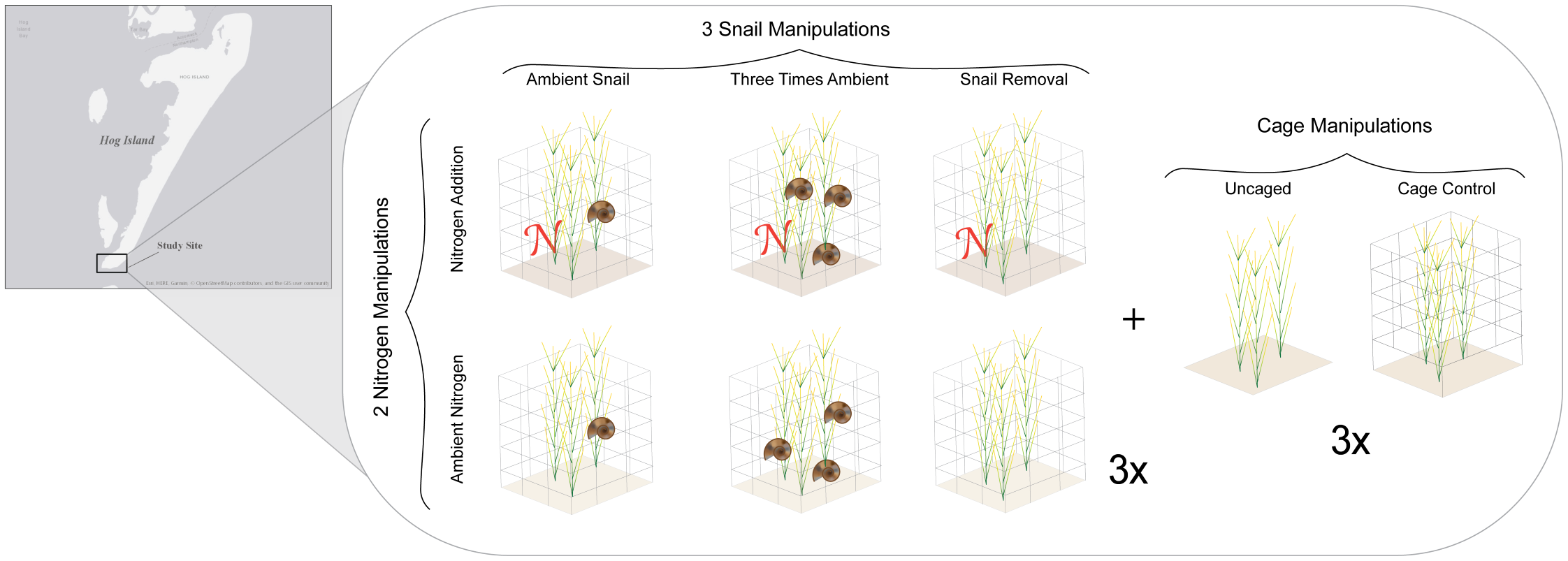 Biostatistics - More ANOVAs